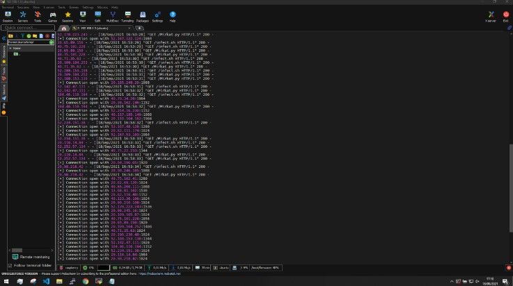 SSH self spreading worm written in python3 to propagate a botnet – Deep ...